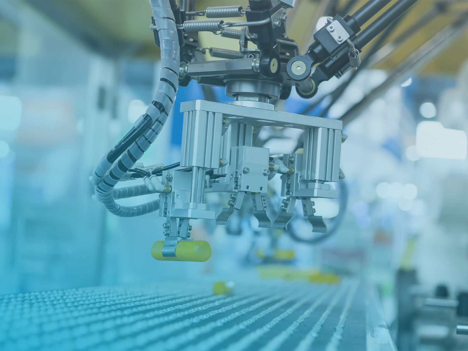 Services - Aronex B.V.